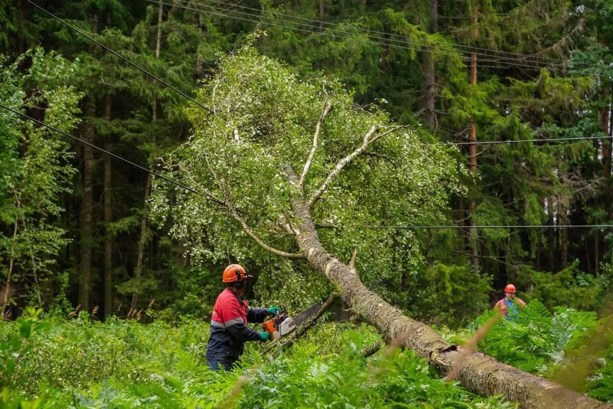 48 населенных пунктов Беларуси остаются без света из за непогоды