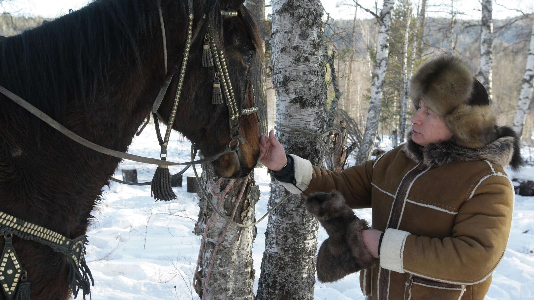Лошадь — это поэзия в движении: кони в жизни политиков и знаменитостей ...