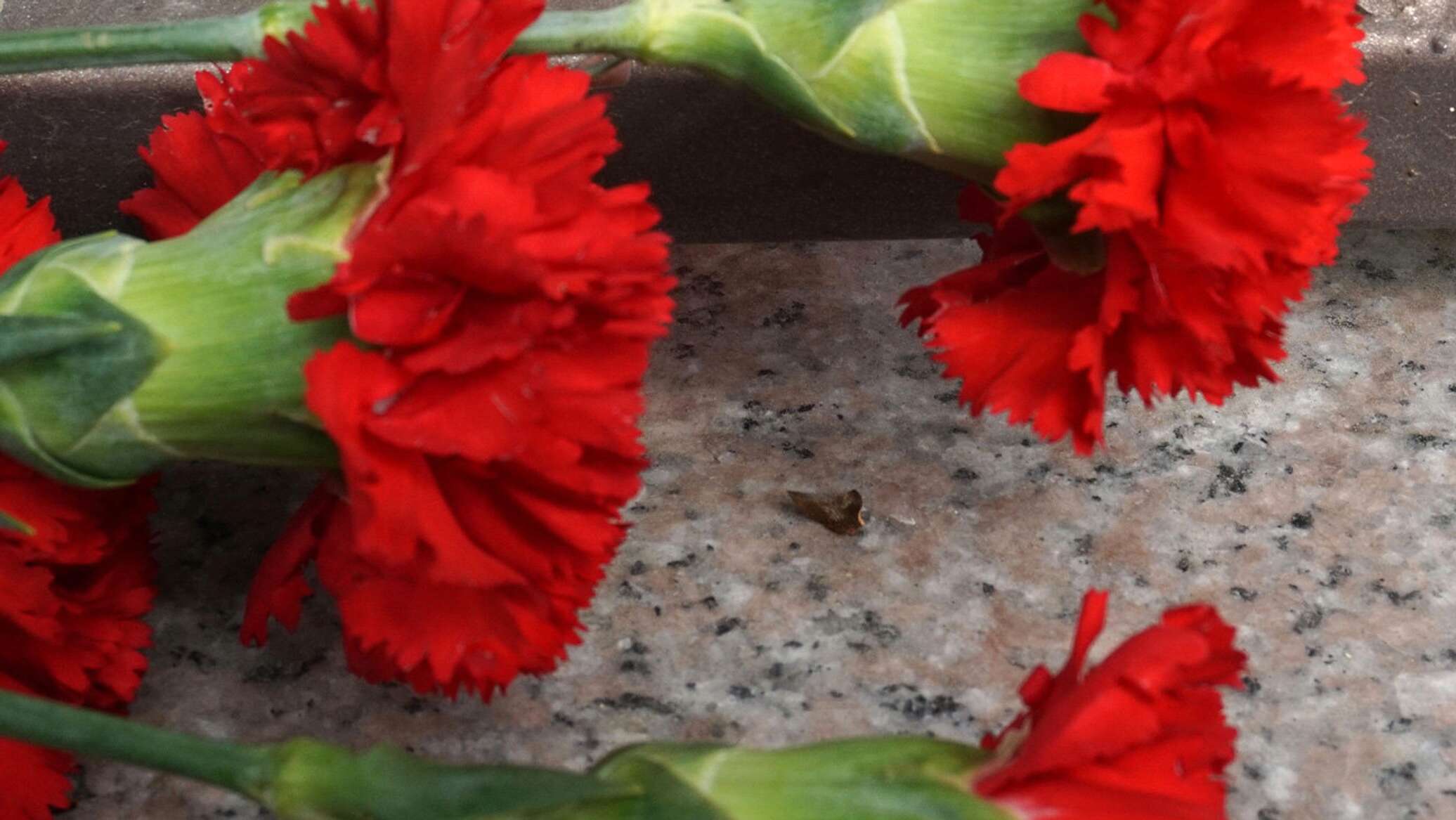 Умер актер - звезда сериала "Четыре танкиста и собака" - 23.09.2022 ...